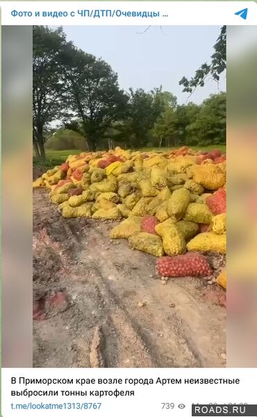 Перегрев экономики, выброшенный картофель - Форум Roads.Ru